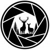 Иконка канала ECOZOOM WILDLIFE
