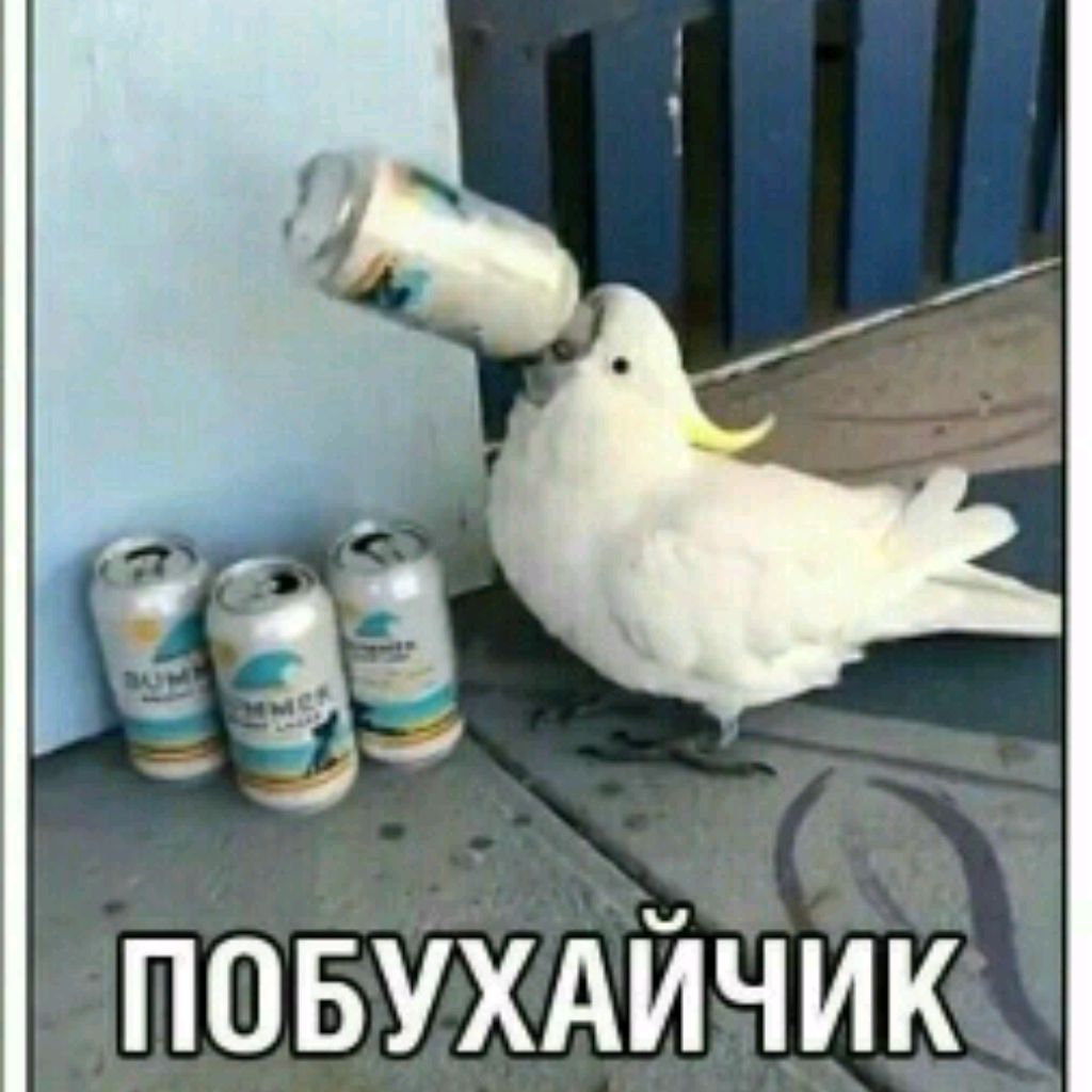 Иконка канала chanell67675252