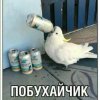 Иконка канала chanell67675252