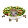 Иконка канала 🥗ЗлАтИк ★ СаЛаТиК 🥗
