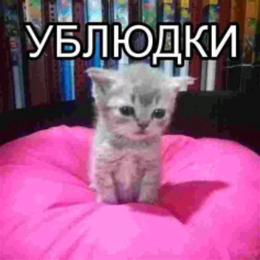 Иконка канала Учу Играть В Стандофф 2