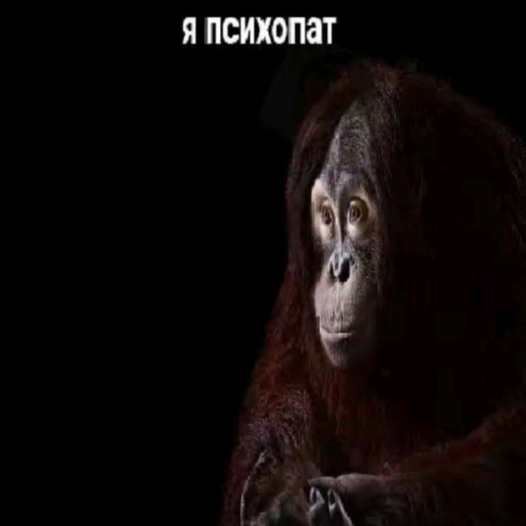 Иконка канала ape_massacre