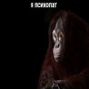 Иконка канала ape_massacre