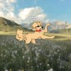 Иконка канала Barking.Dog