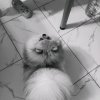Иконка канала LuckyD8105