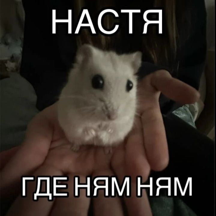 Иконка канала ✨Ева✨