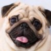 Иконка канала channel