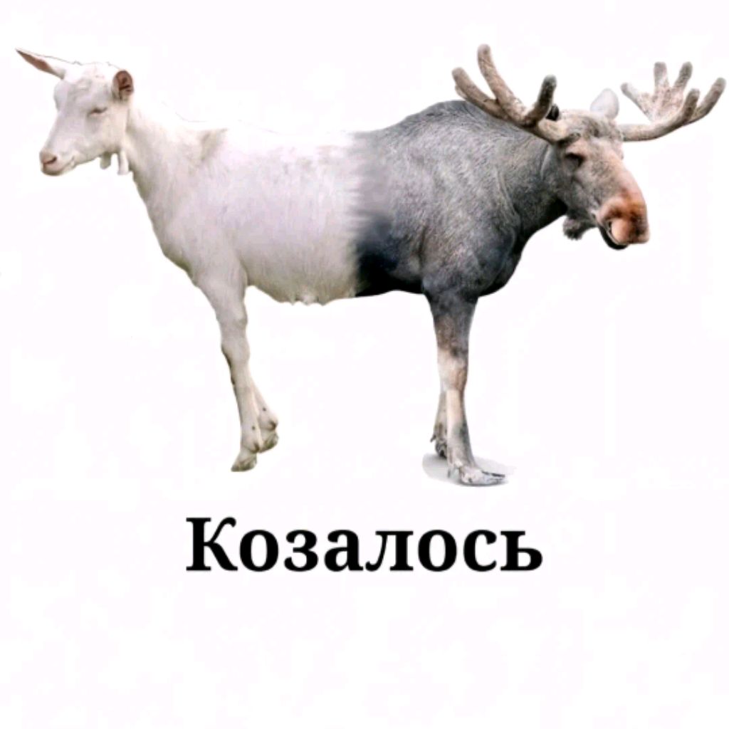 Иконка канала MrHainZ