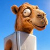 Иконка канала Верблюдини Холодини