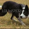 Иконка канала ﹤†★LOLAs87832★†﹥