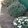 Иконка канала Жизнь И Увлечения В Своем Дворе