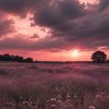 Иконка канала 🌺Lera i Milaniya🌺