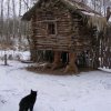 Иконка канала Лесная избушка Яги.