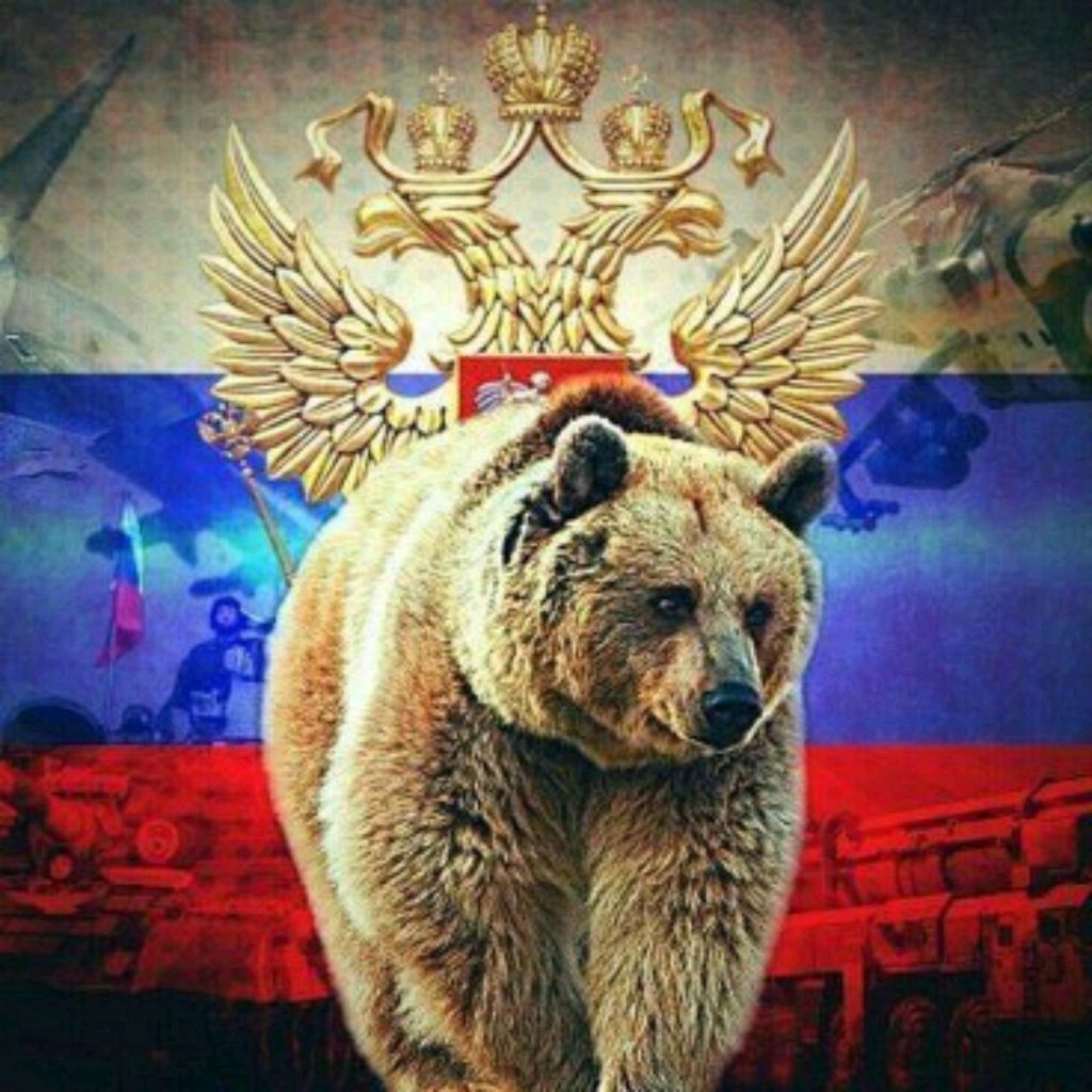 Иконка канала Bersi