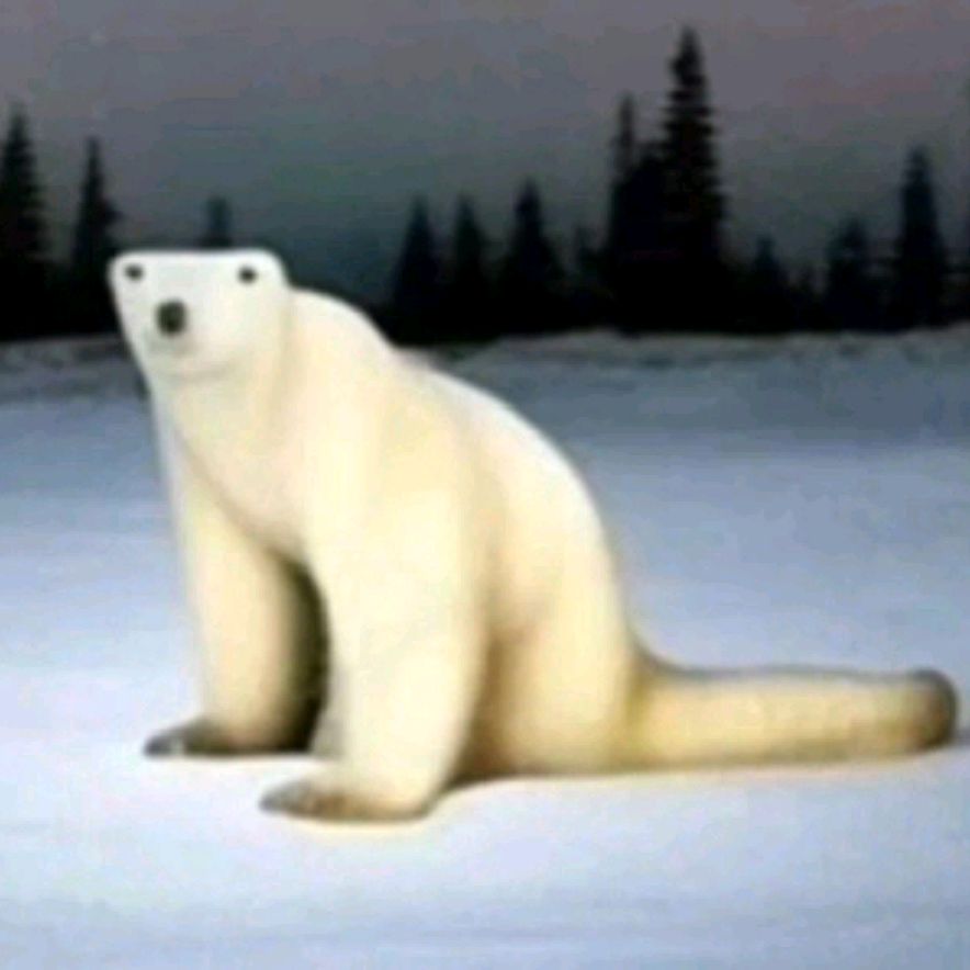 Иконка канала Медведь 2026@