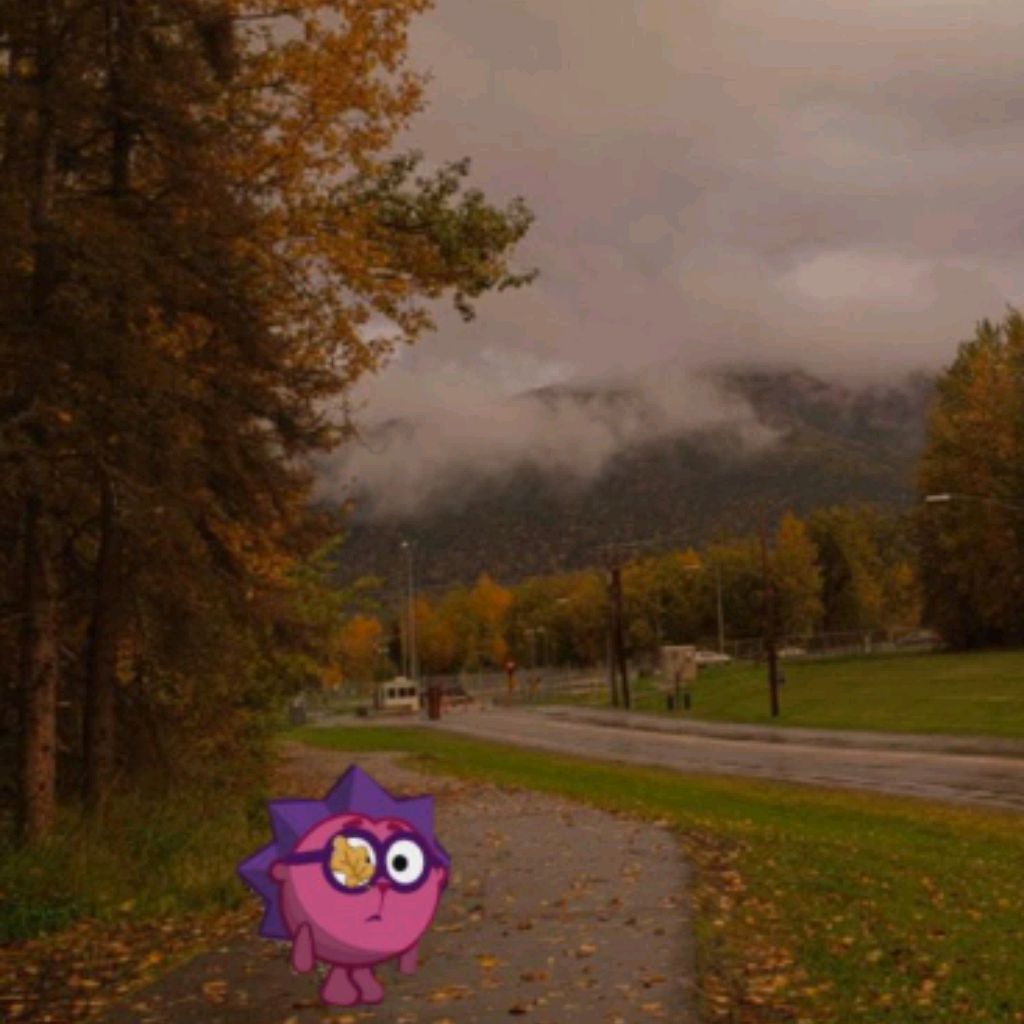 Иконка канала 🍁🍂:) Мяу sfory , 🍂🍁🏵️