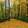 Иконка канала Шакарс