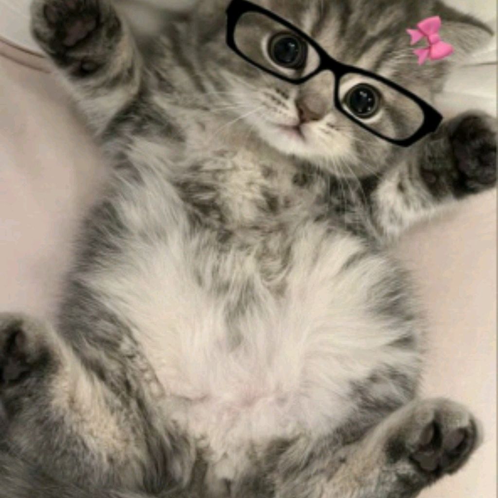 Иконка канала Dasha World🖤