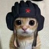 Иконка канала Кот с шапкой