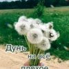 Иконка канала Для души💫🎉