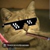 Иконка канала Кошара