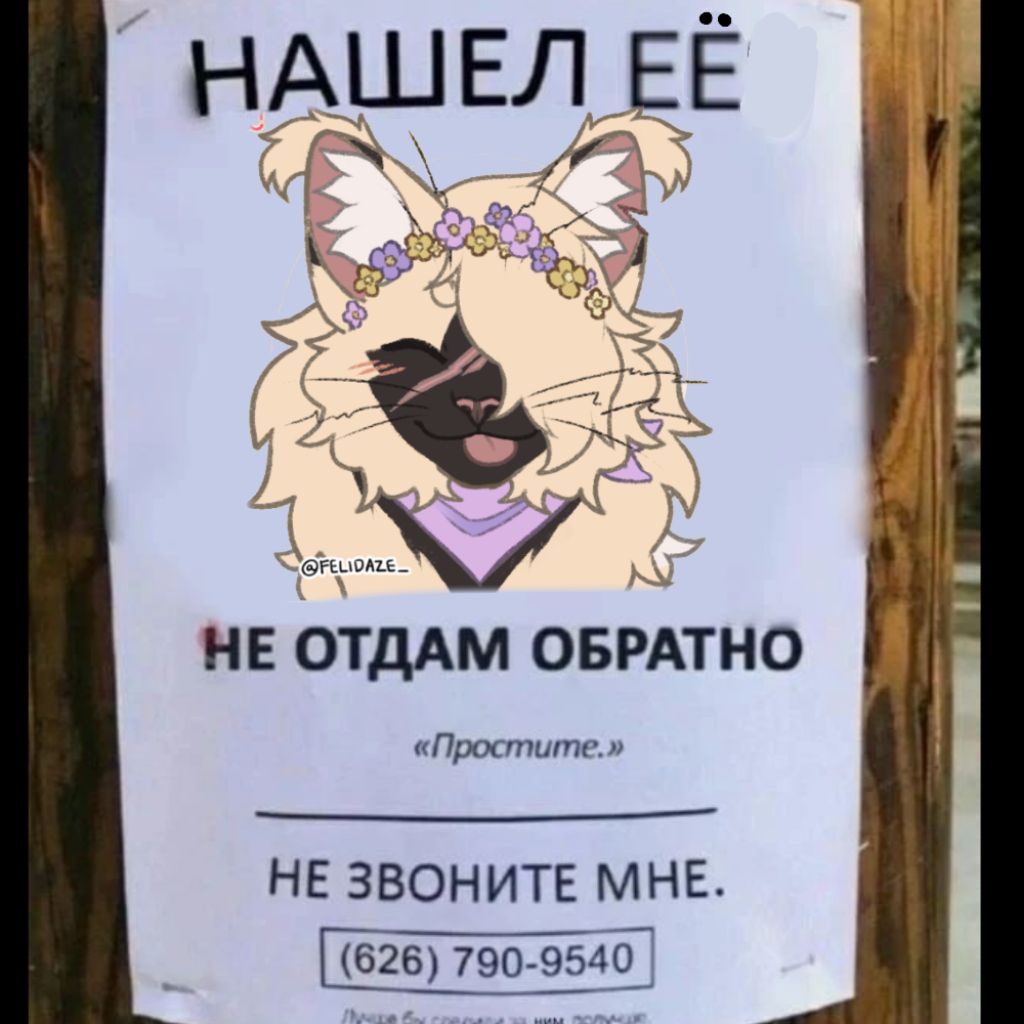 Иконка канала 🪻 Фиолетовая Фиалка 🪻