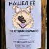 Иконка канала 🪻 Фиолетовая Фиалка 🪻