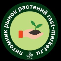 Иконка канала RAST-MARKET