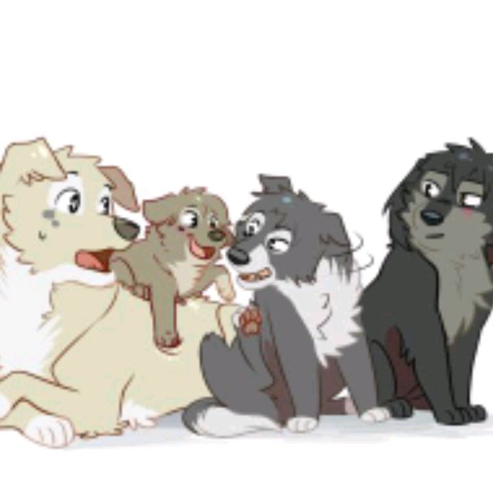 Иконка канала 🐾✓•СТАЯ ПОЛУВОЛКА•✓🐾