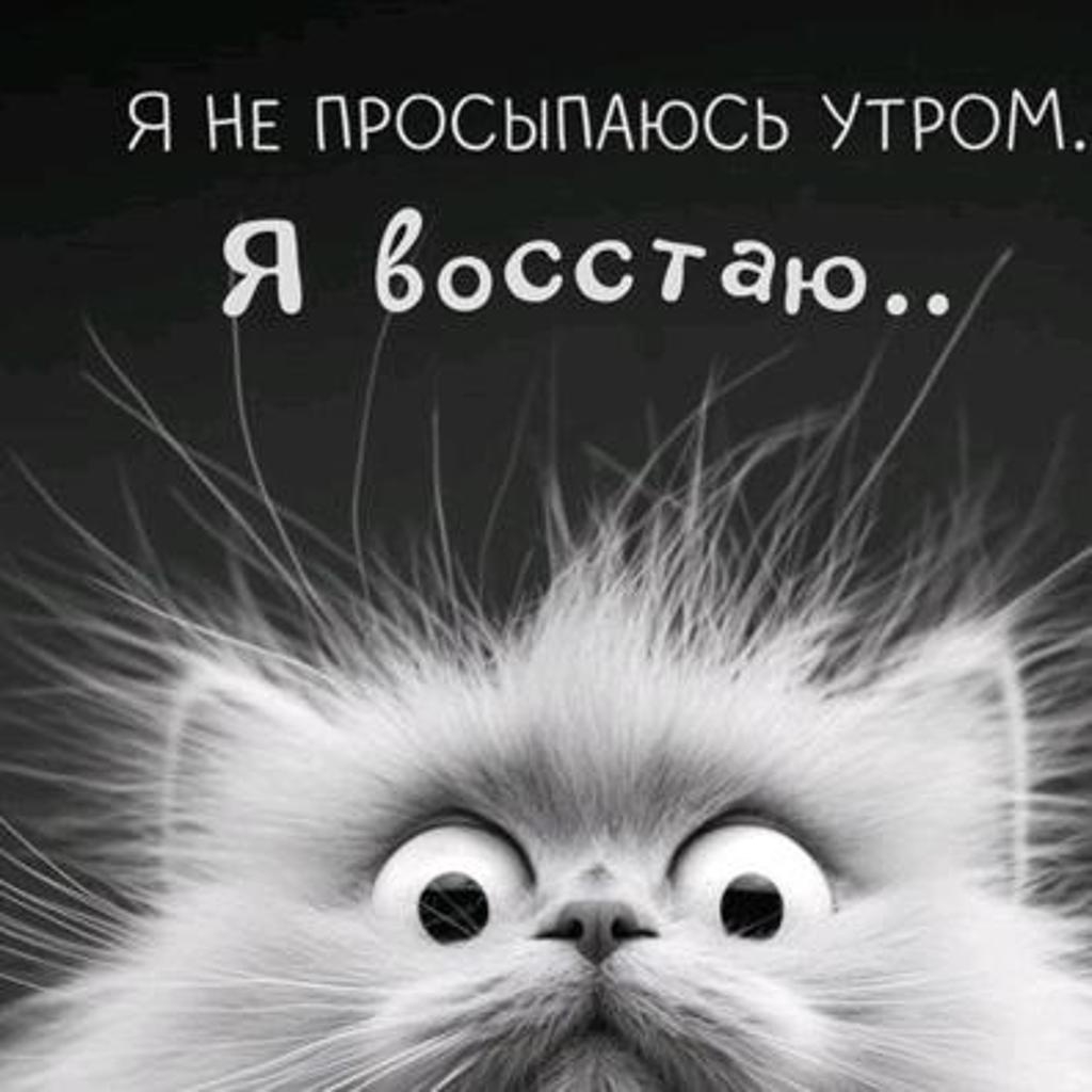 Иконка канала channel36006603