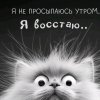 Иконка канала channel36006603