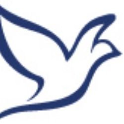 Иконка канала Ярославские краски