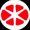 Иконка канала Протокол Виживания