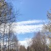 Иконка канала Бюджетнаямама