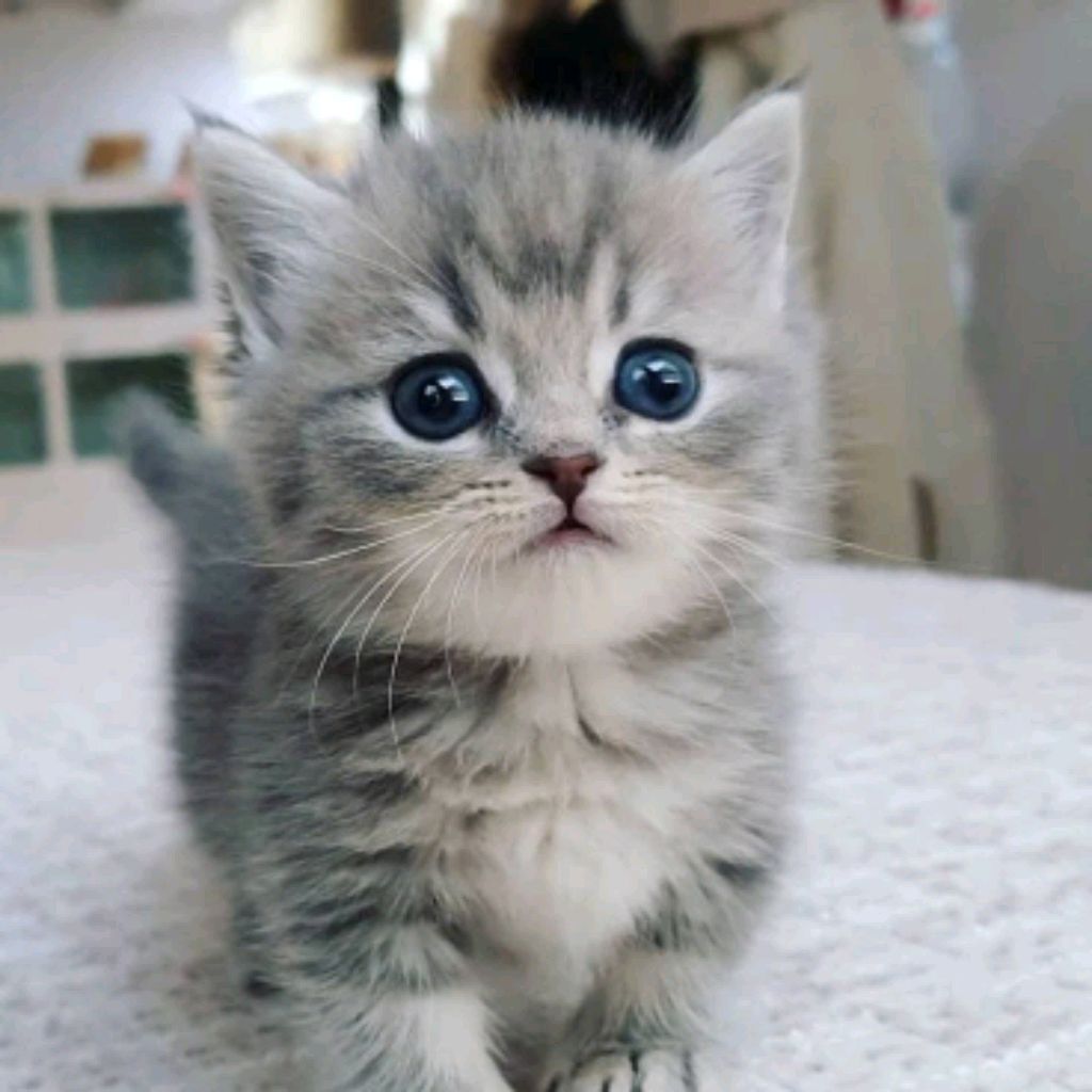 Иконка канала ¡🐆 ¶~•°Супер игры°•~¶🐆!