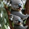 Иконка канала 🐨💫Коала Store💫 🐨