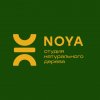Иконка канала noya.woodcraft