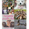 Иконка канала 🐾мокрые носики🐾 pdb