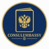 Иконка канала Консульская жизнь