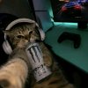 Иконка канала Tsb mobile Player