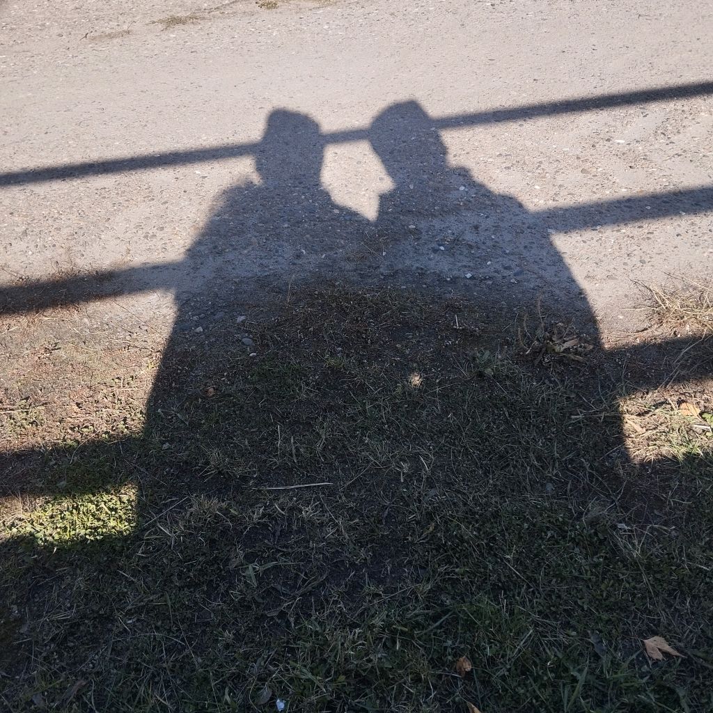 Иконка канала 𝔖𝔥𝔬𝔰𝔥𝔨𝔦𝔫𝔞🍁