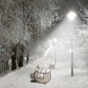 Иконка канала Котики