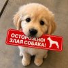 Иконка канала РДИИ