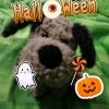 Иконка канала Тамерлан Fм🎃