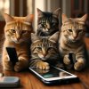 Иконка канала Коты на связи