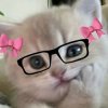 Иконка канала elnglva