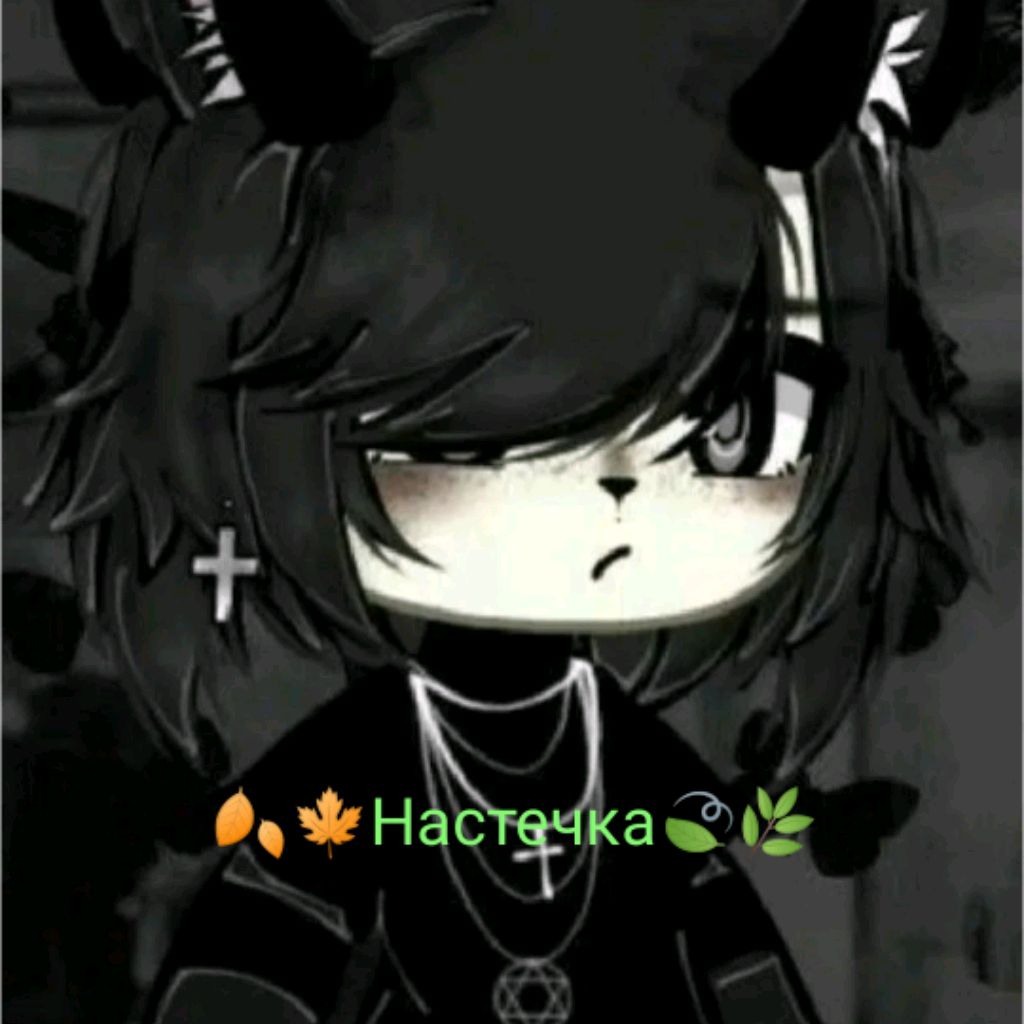 Иконка канала 🍂🍁Настечка 🍃🌿