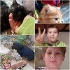 Иконка канала Захар Данил и питомцы