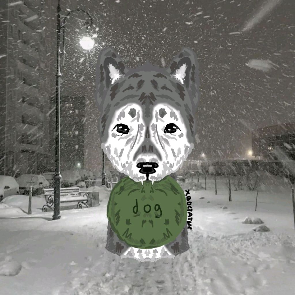 Иконка канала ❄//-Polar dogs-//☃️