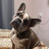 Иконка канала channelforpeople